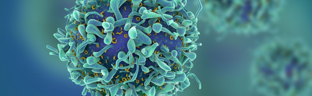 Genomic Instability and Cancer - HCEMM