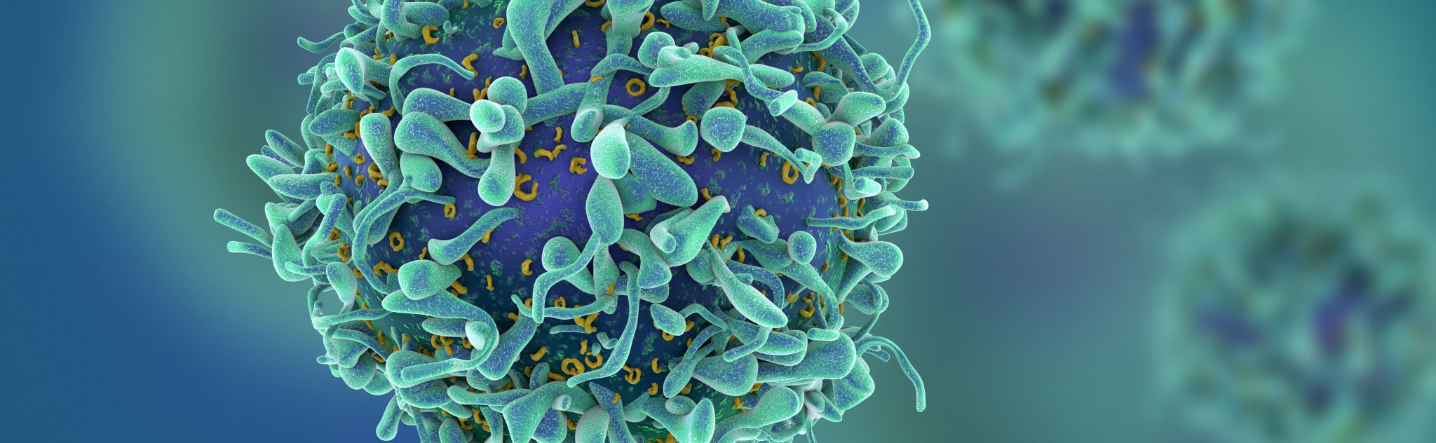 Genomic Instability and Cancer - HCEMM